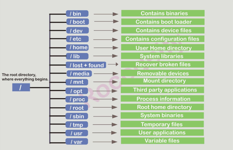 Master Linux File System Commands: Easy Tips for Beginners - Zeenom ...