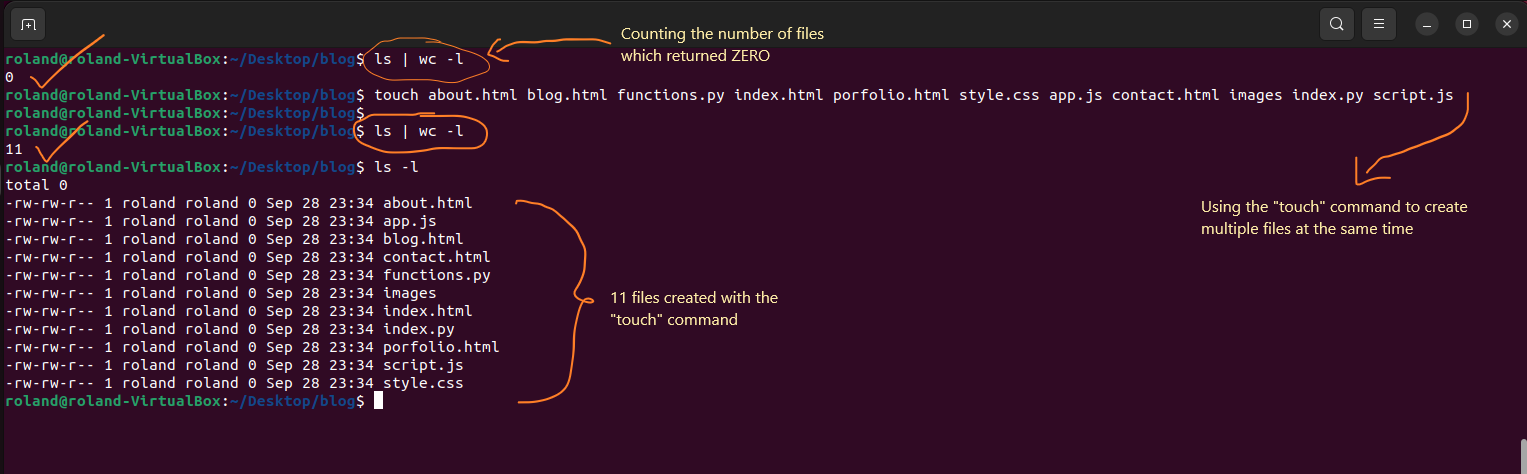 Master Linux File System Commands: Easy Tips for Beginners - Zeenom ...